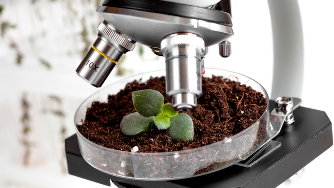 How Soil Testing Laboratory in UAE Ensures Safety?