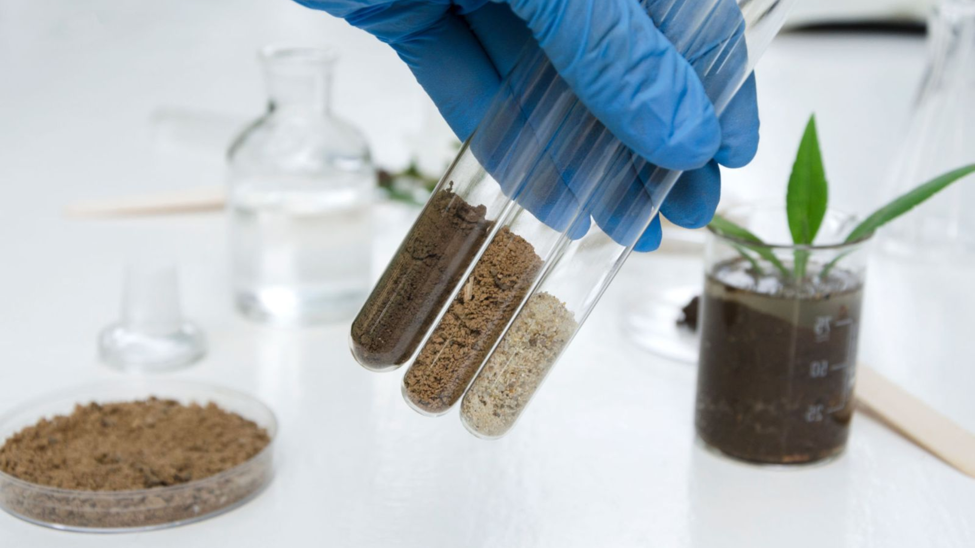 How Soil Testing Laboratory in UAE Ensures Safety?